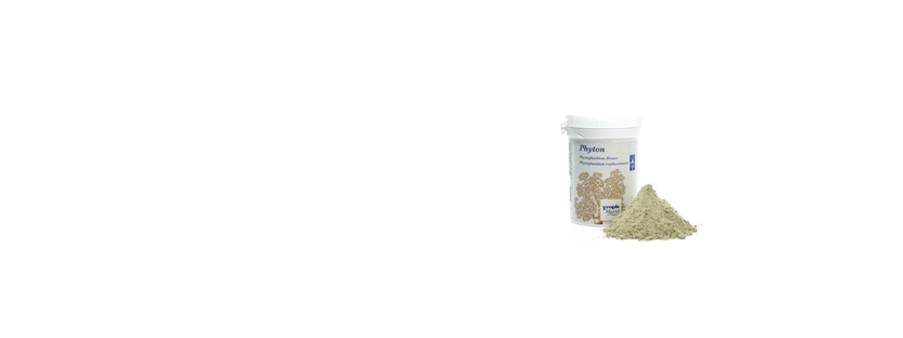 Coralaxy - Your Onlineshop of Aquacultured Life for Reef Tanks EU-wide